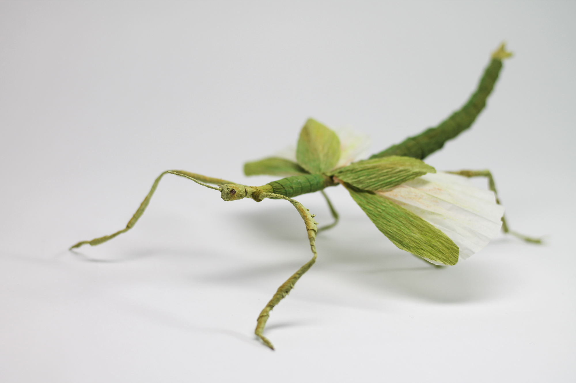 Paper Insects - faltmanufaktur-Tina Kraus