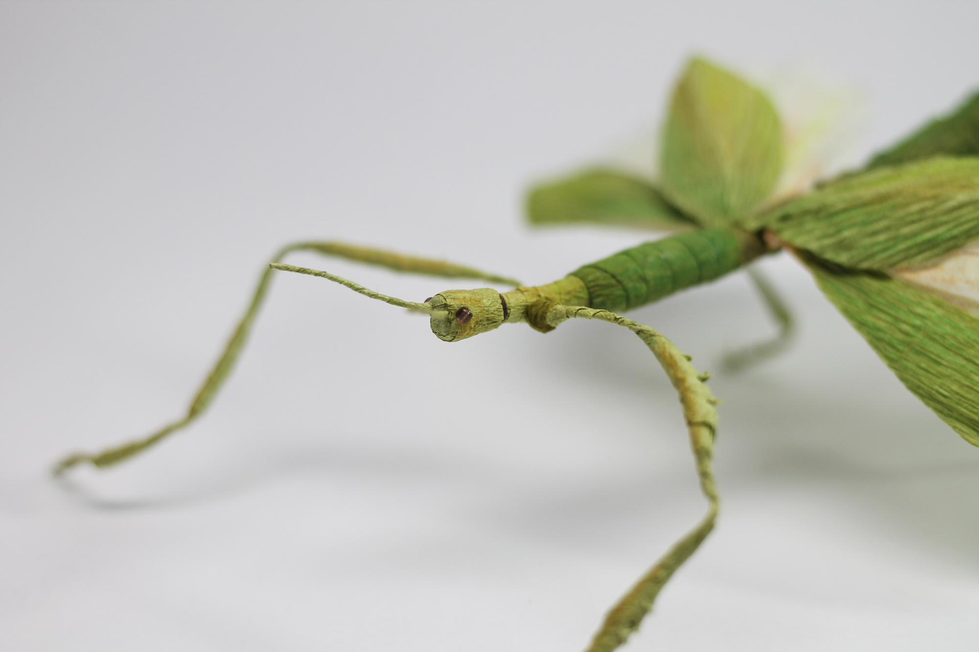 Paper Insects - faltmanufaktur-Tina Kraus