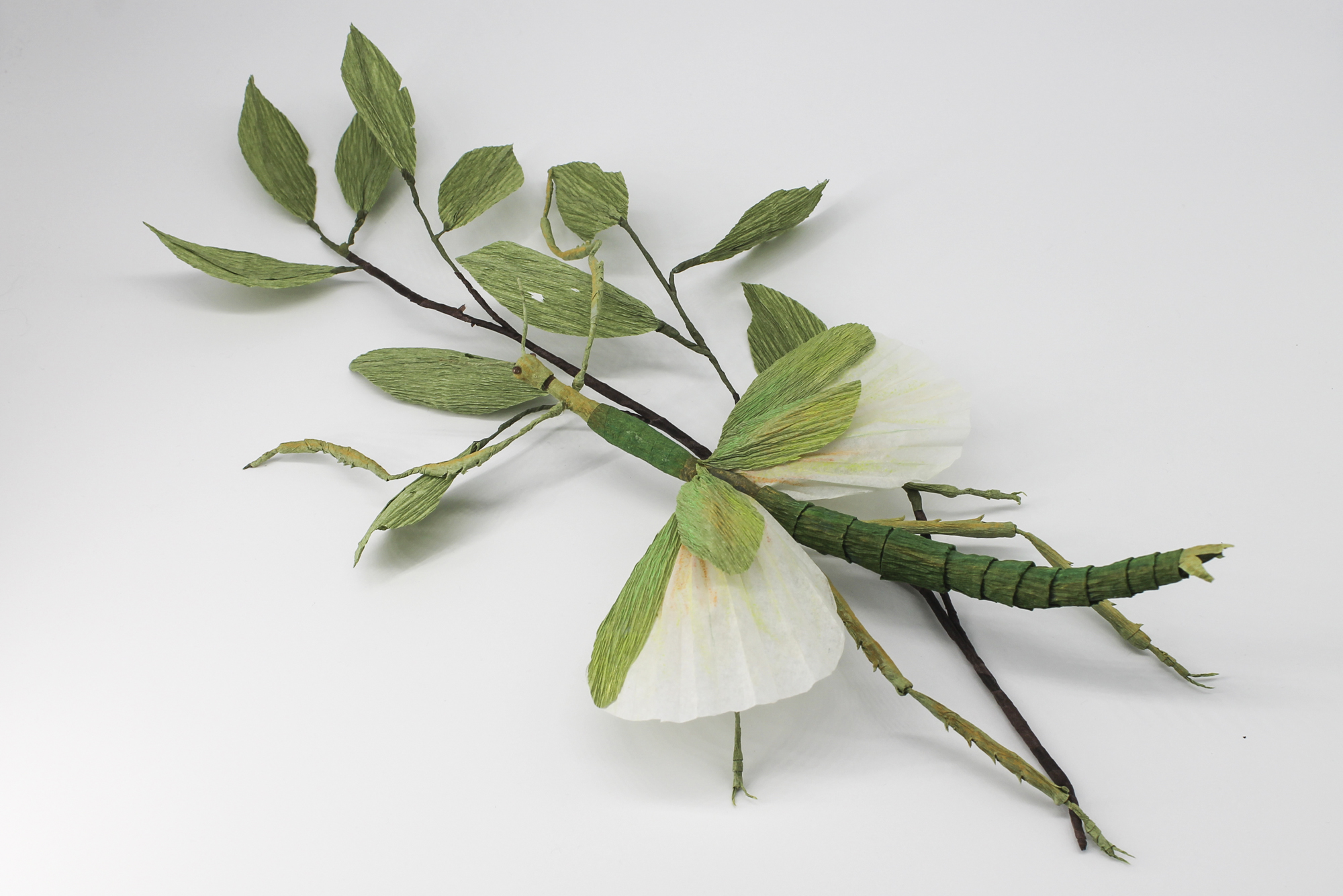 Paper Insects - faltmanufaktur-Tina Kraus