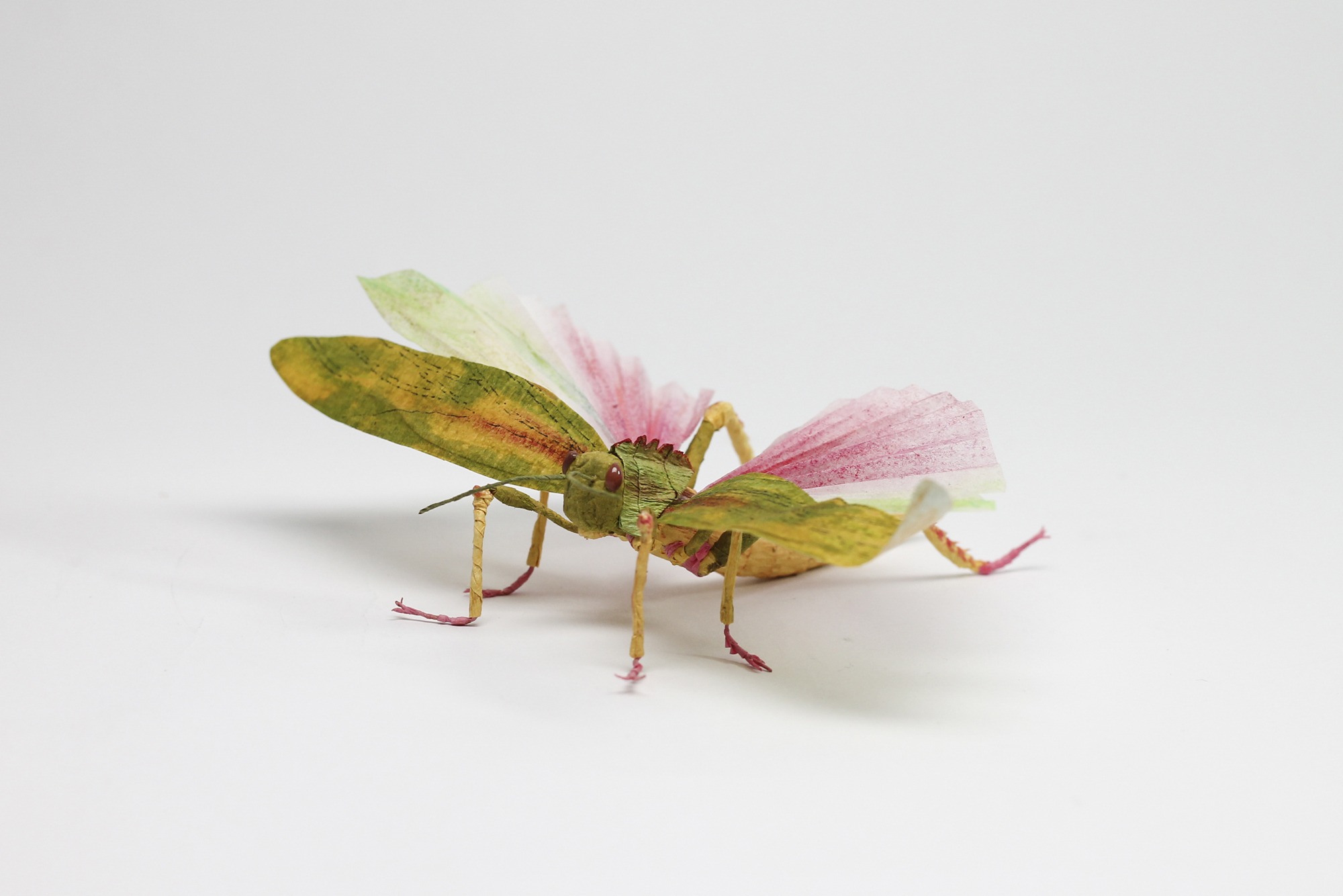 Paper Insects - faltmanufaktur-Tina Kraus