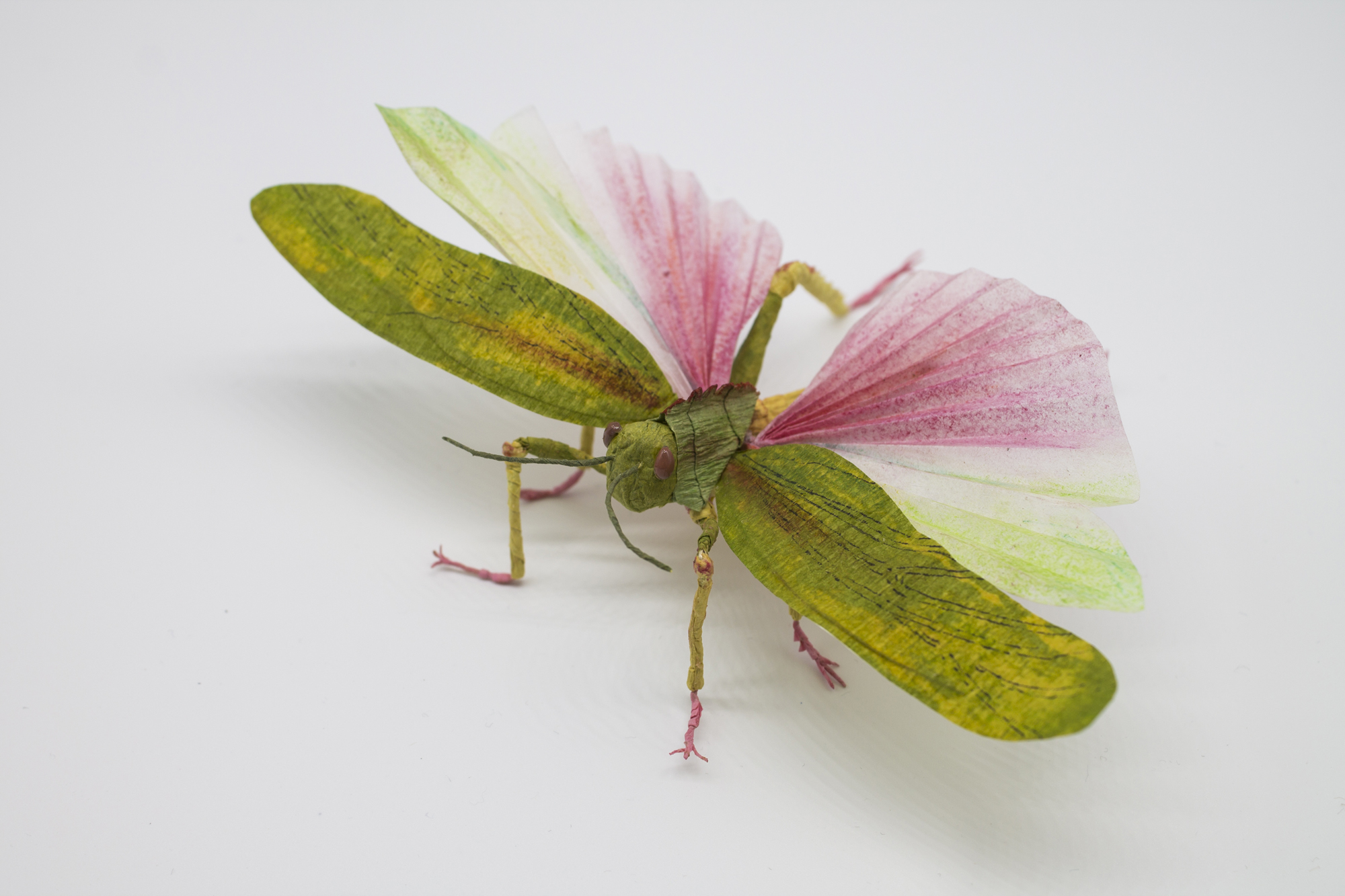 Paper Insects - faltmanufaktur-Tina Kraus