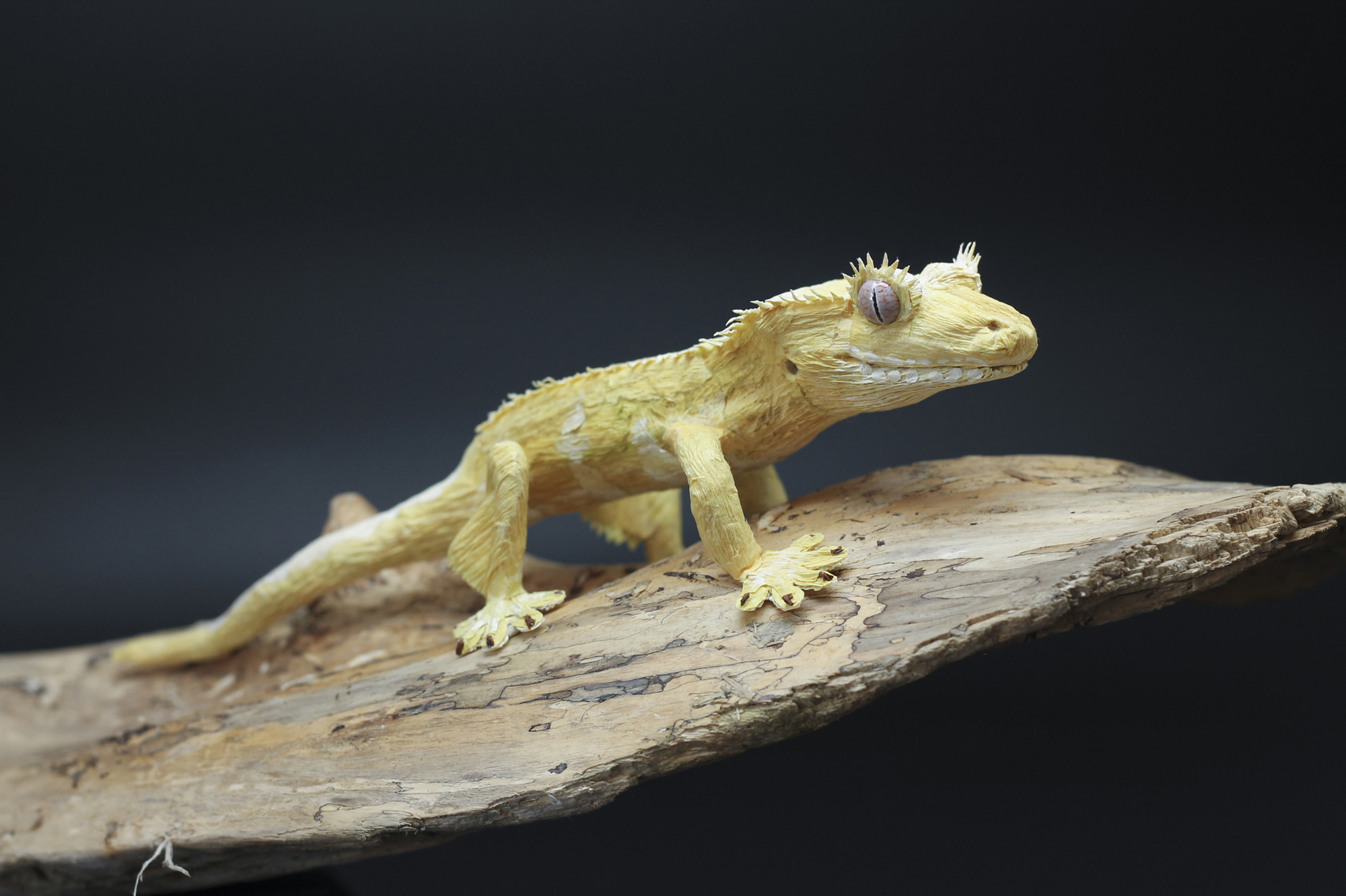Crested Crepe Paper Gecko - faltmanufaktur-Tina Kraus Paper Art