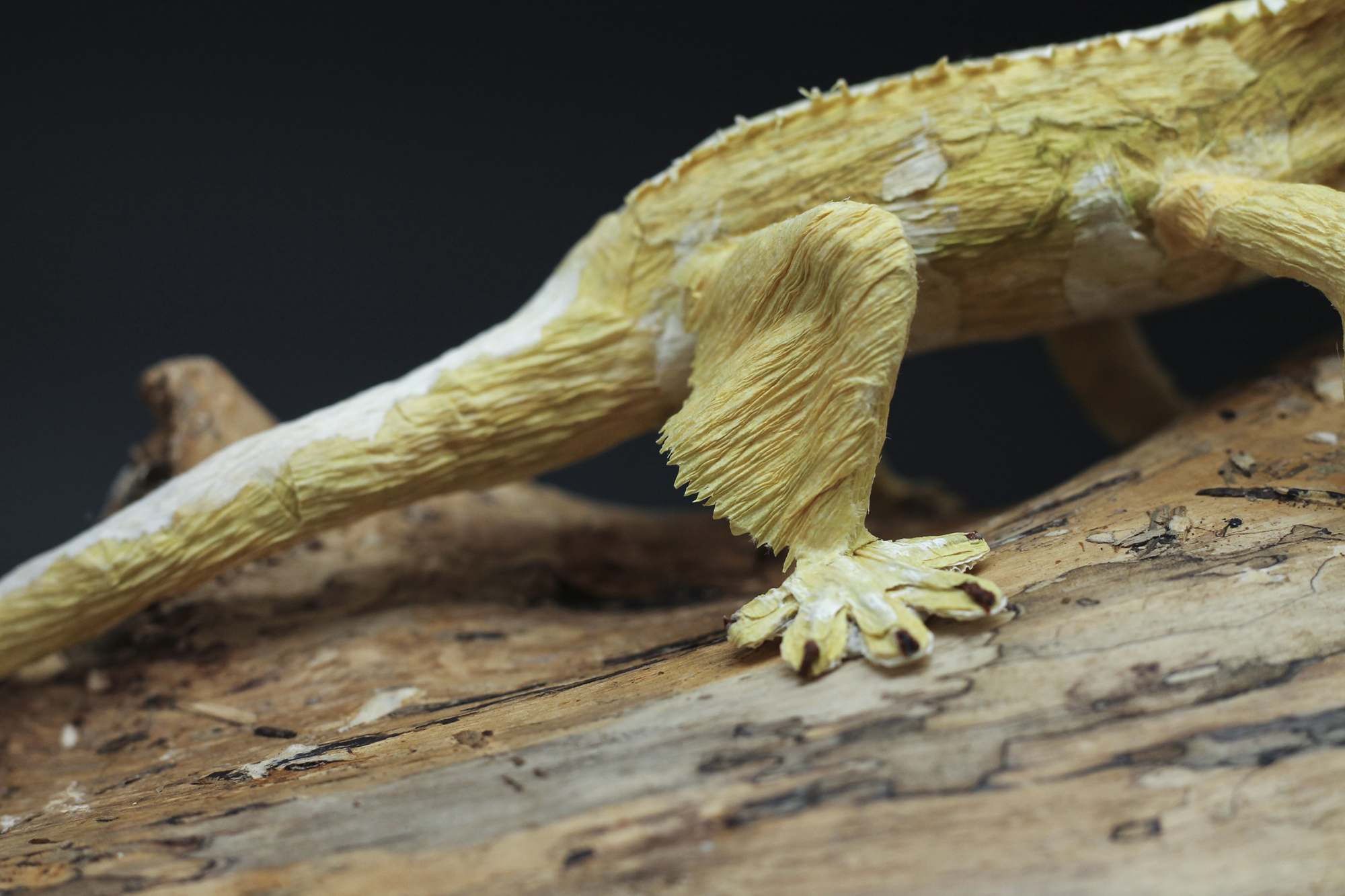 Crested Crepe Paper Gecko - faltmanufaktur-Tina Kraus Paper Art