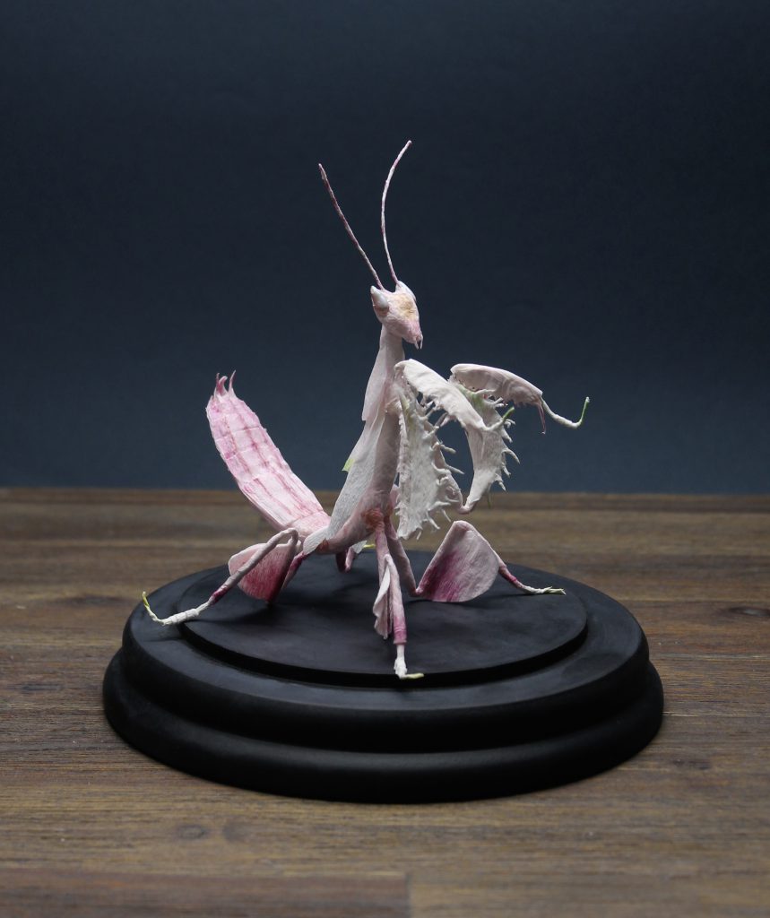 Paper Insects - faltmanufaktur-Tina Kraus