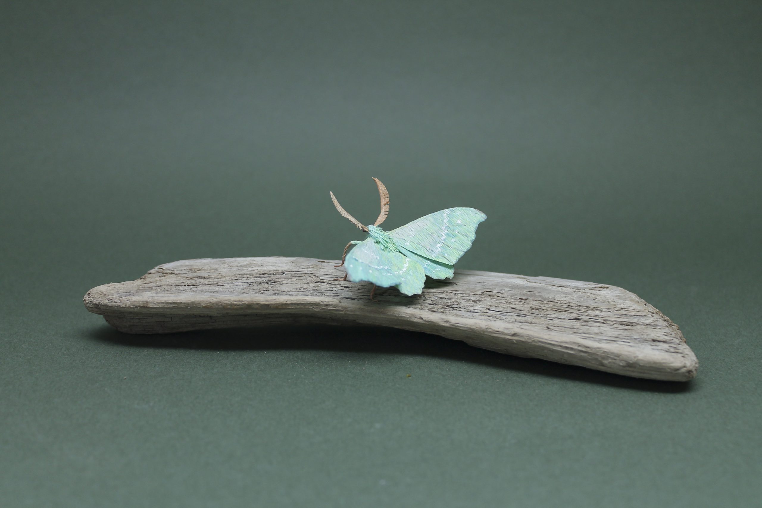 Paper Moth: Emerald Moth - faltmanufaktur-Tina Kraus Paper Insects