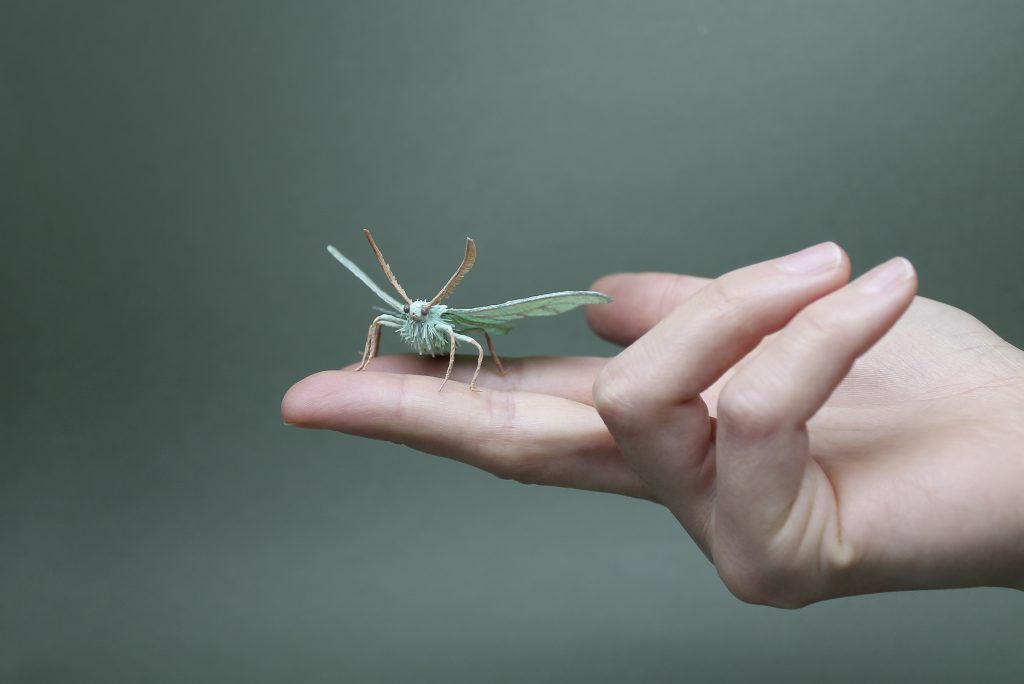 Paper Moth: Emerald Moth - faltmanufaktur-Tina Kraus Paper Insects