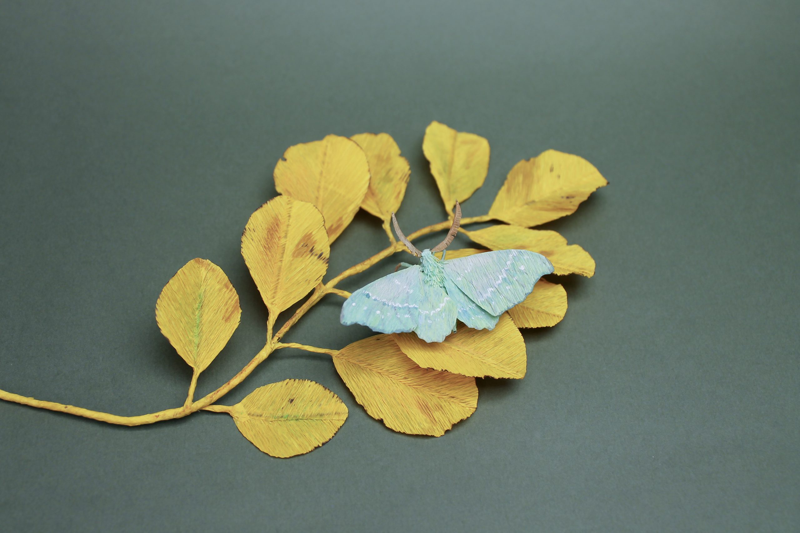 Paper Moth: Emerald Moth - faltmanufaktur-Tina Kraus Paper Insects