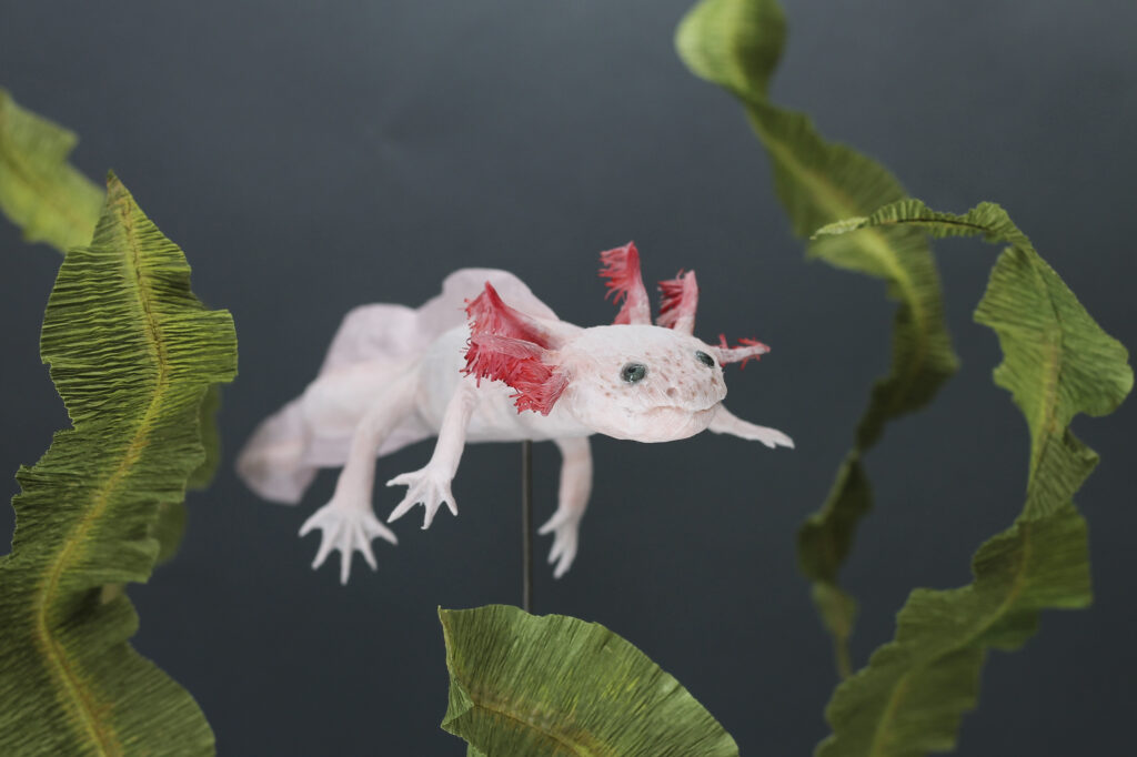 Paper Axolotl - faltmanufaktur-Tina Kraus
