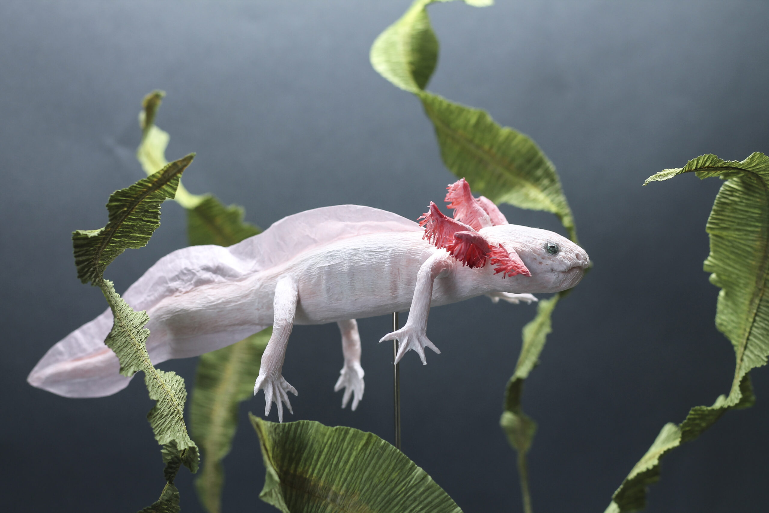 Paper Axolotl - faltmanufaktur-Tina Kraus