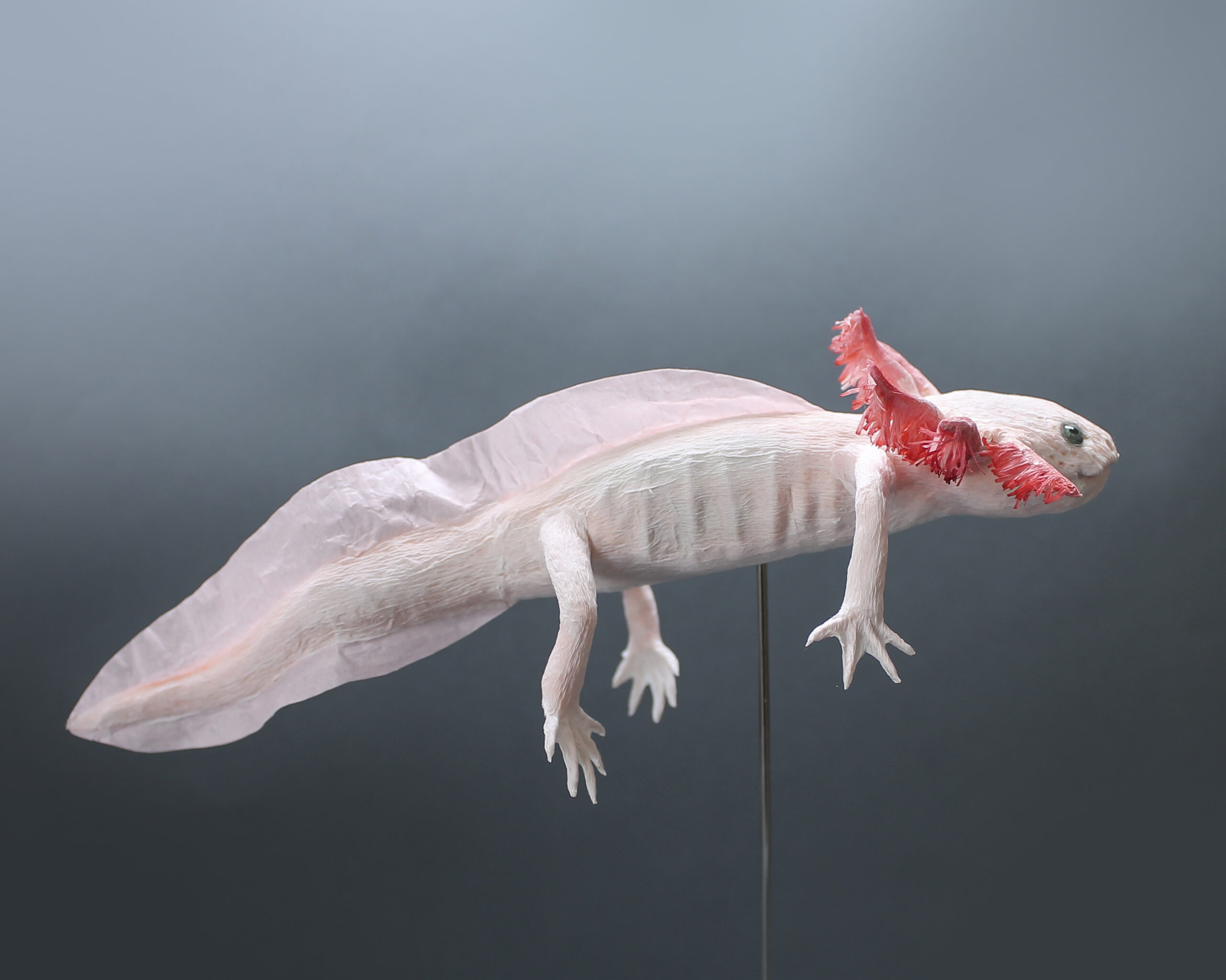 Paper Axolotl - faltmanufaktur-Tina Kraus