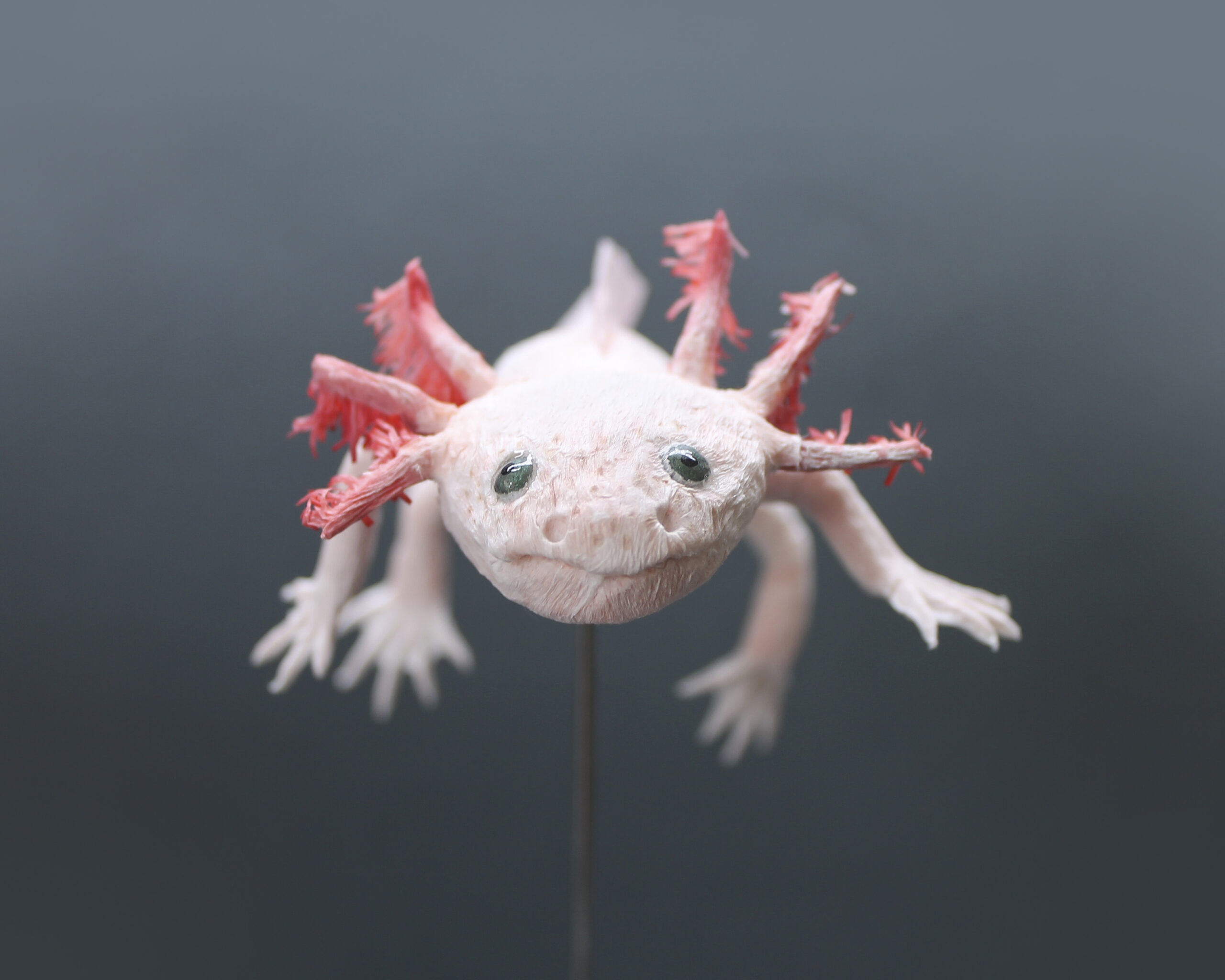 Paper Axolotl - faltmanufaktur-Tina Kraus