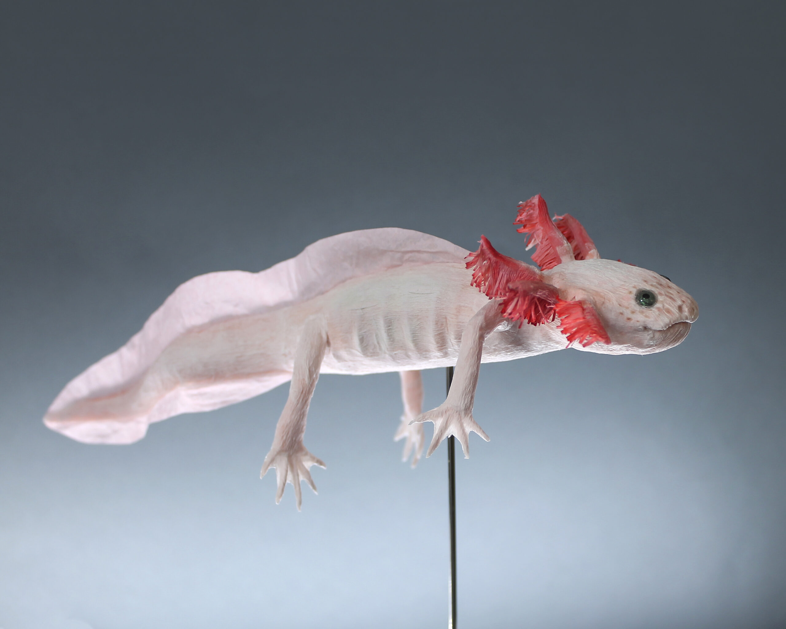 Paper Axolotl - faltmanufaktur-Tina Kraus