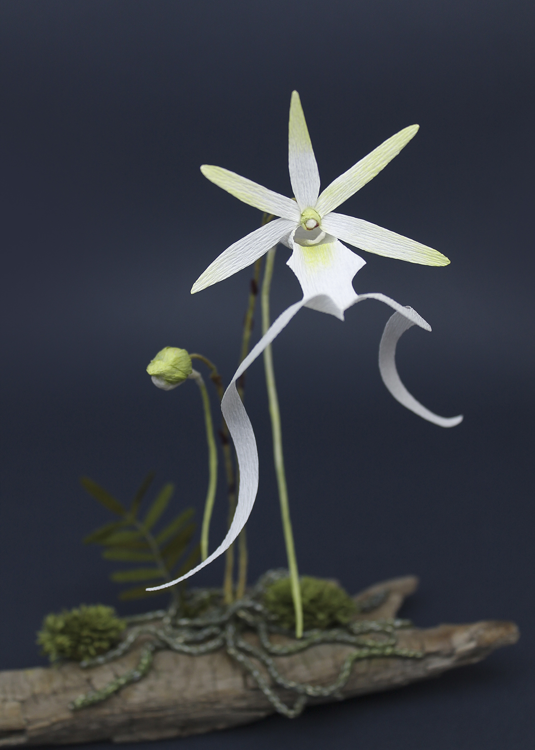 Ghost Orchid - faltmanufaktur-Tina Kraus Paper Flora