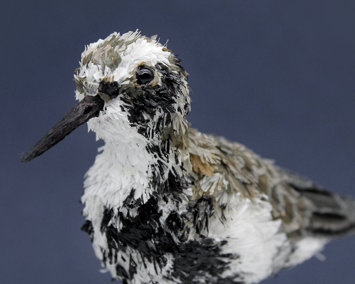 Paper Life! Ocean Project - faltmanufaktur-Tina Kraus